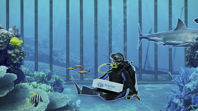 Shark Tank: Custom Packaging Solution Solutions